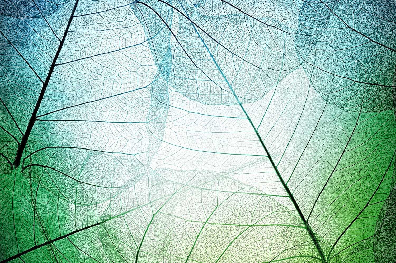 Sustainability at MÜNZING | Münzing Chemie