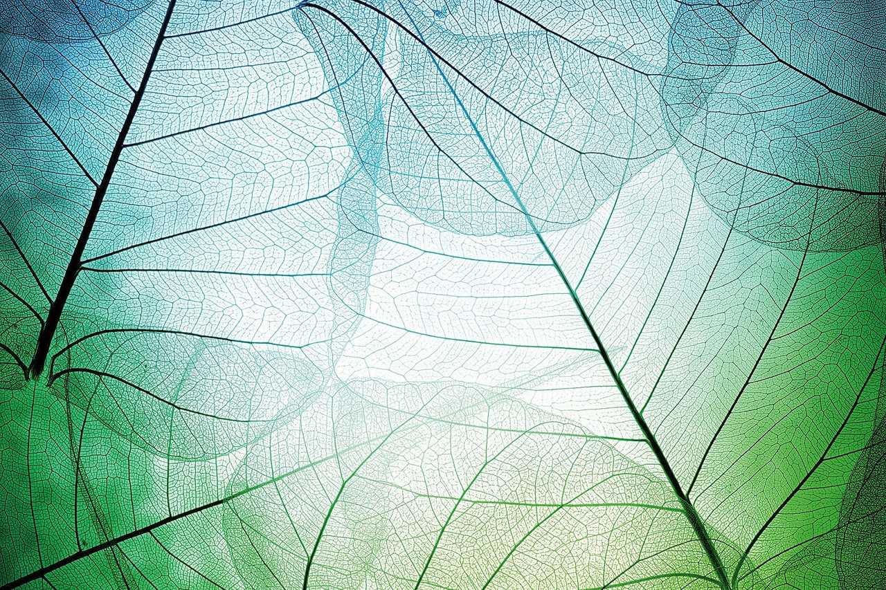 Sustainability at MÜNZING | Münzing Chemie